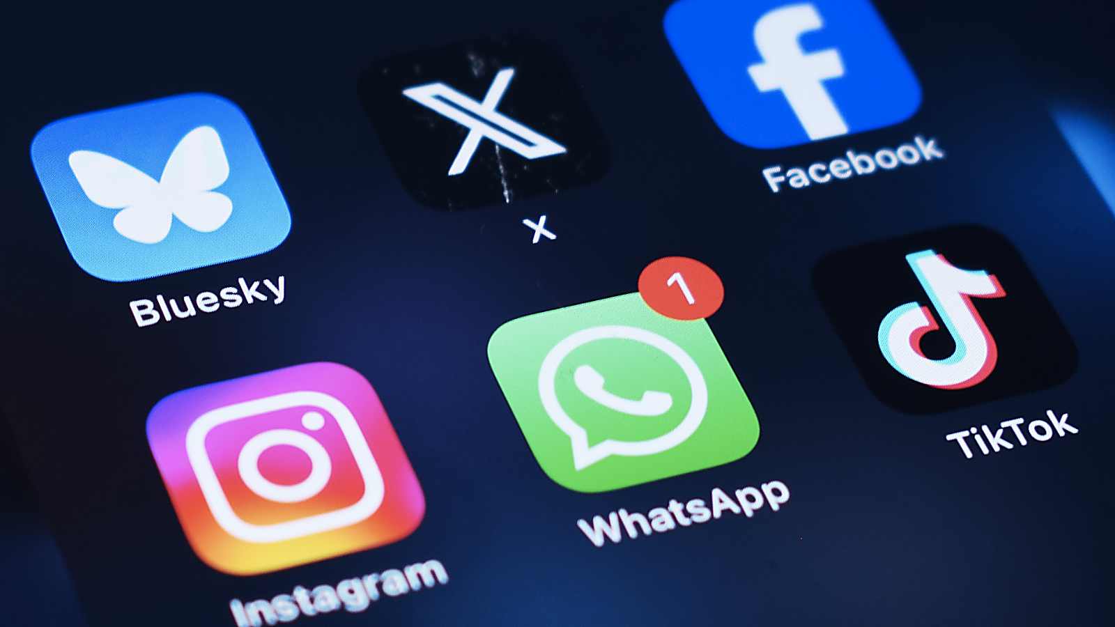 Sosiale medier | Barnevakten